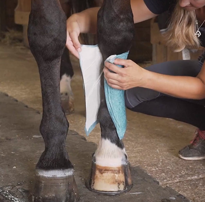 Quinn's Equine Poultice Wraps, Case of 10 Packs (2 per pack)