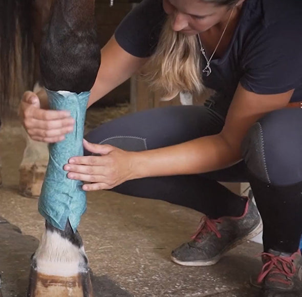 Quinn's Equine Poultice Wraps, Case of 10 Packs (2 per pack)